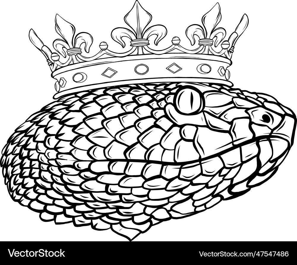 Snake head outline in black and white Royalty Free Vector