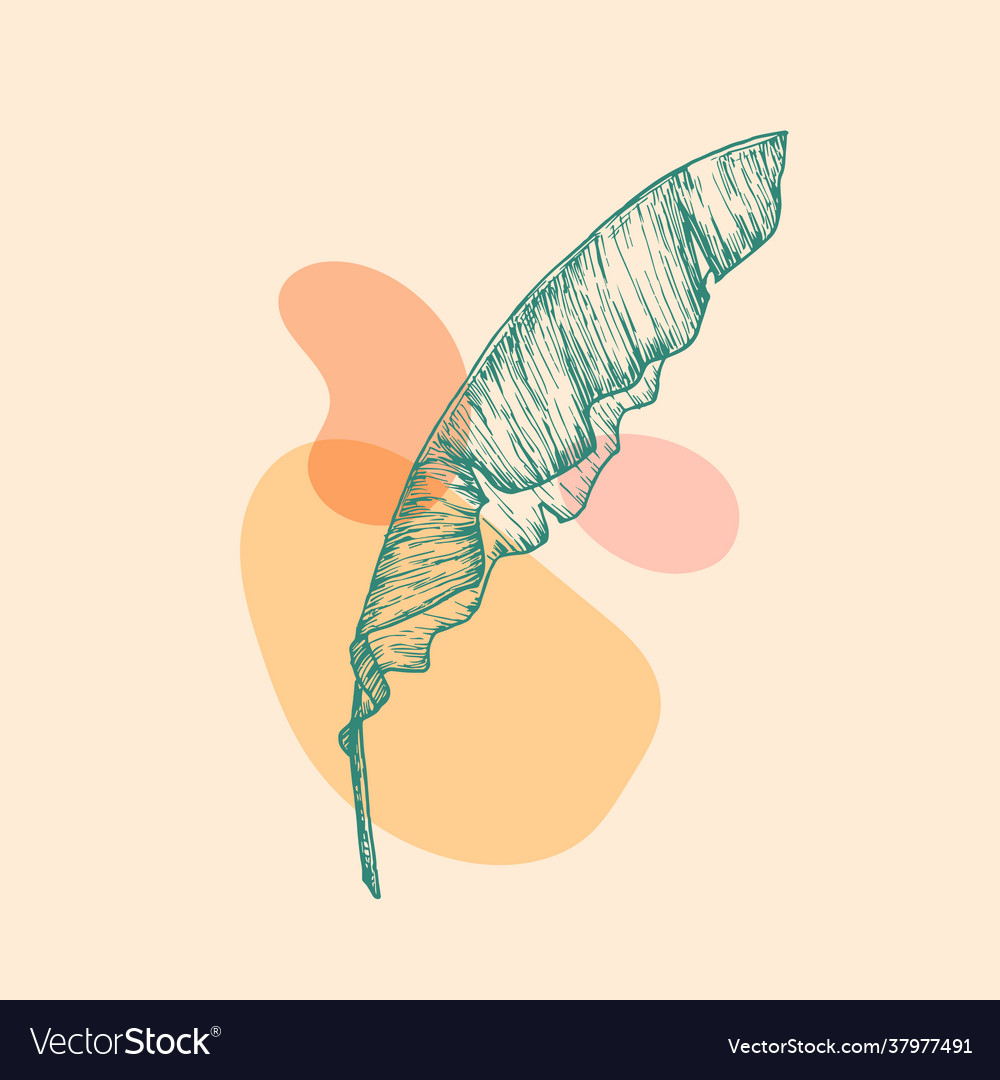 Abstract Botanical Background Decorative Vector Image