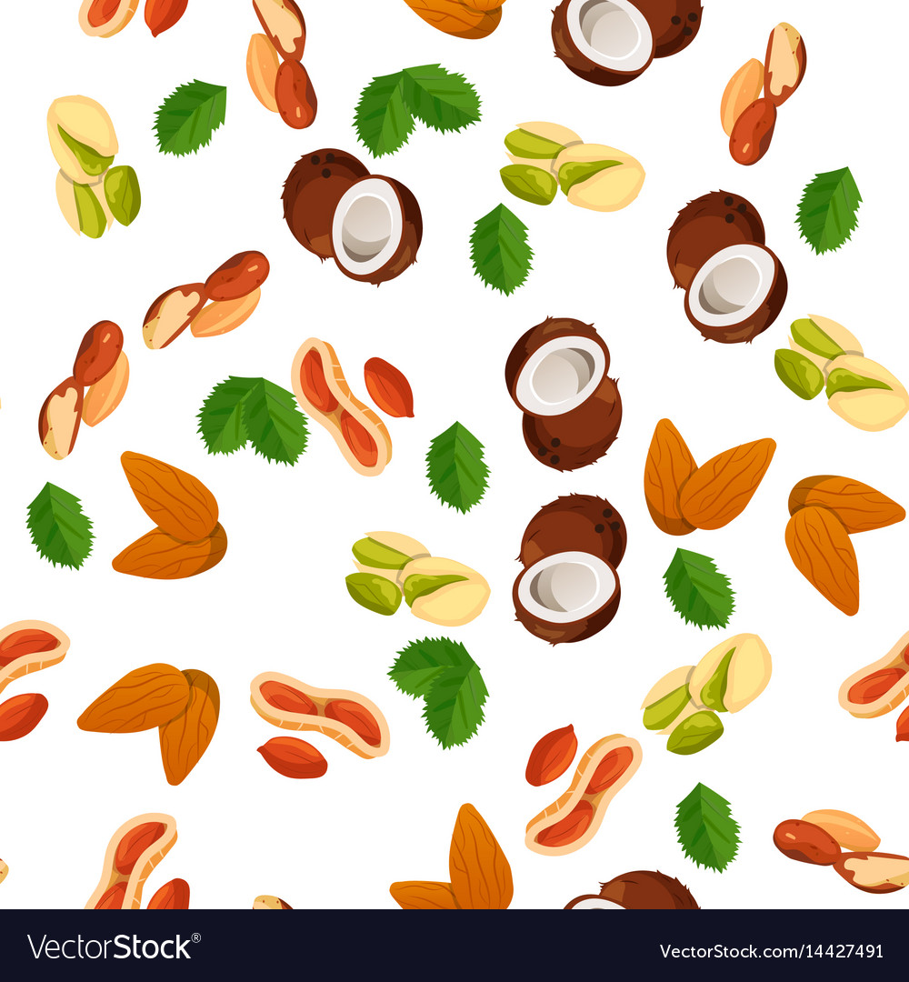 Nuts Royalty Free Vector Image - VectorStock