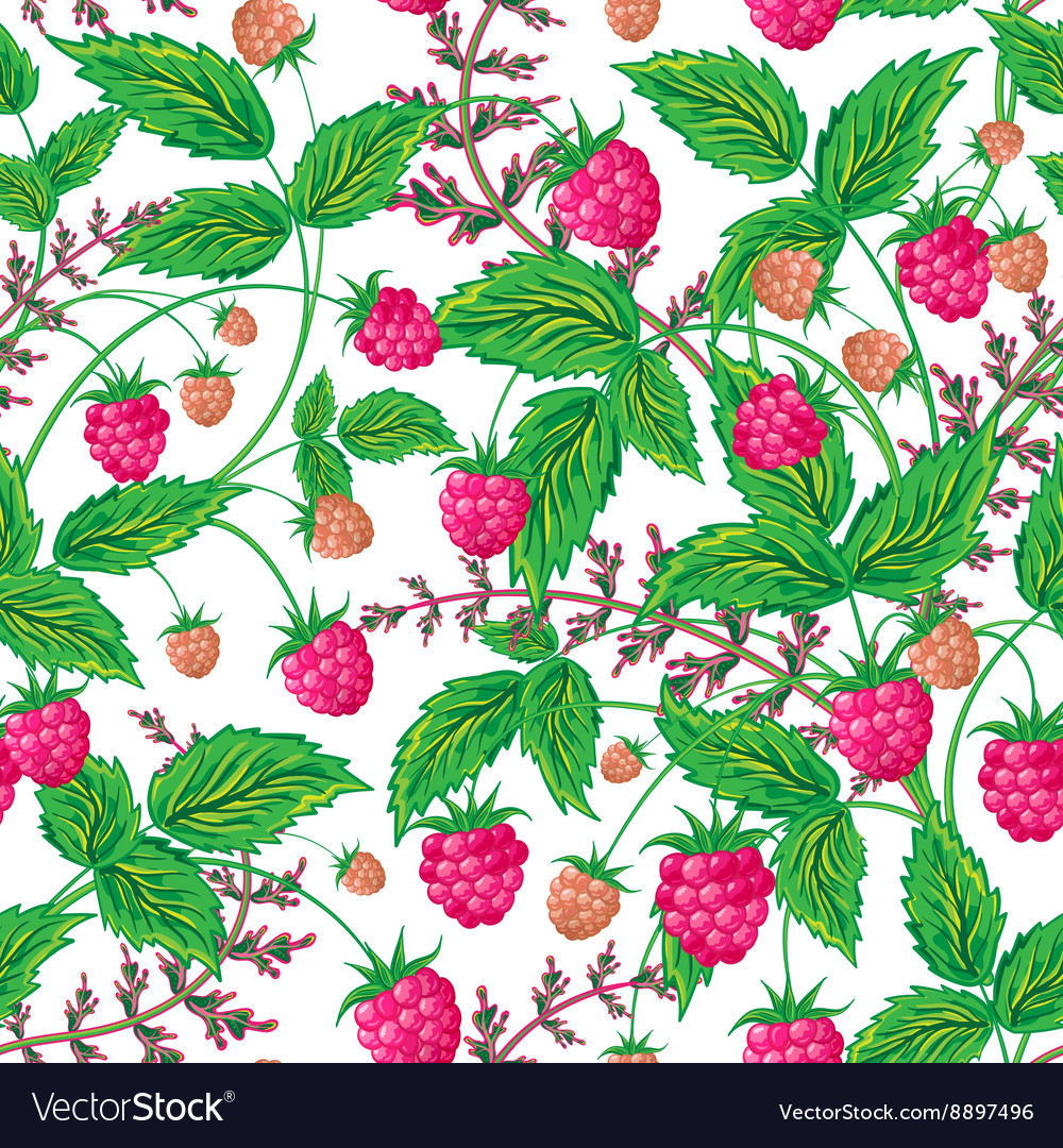 Colored raspberries seamless pattern Royalty Free Vector