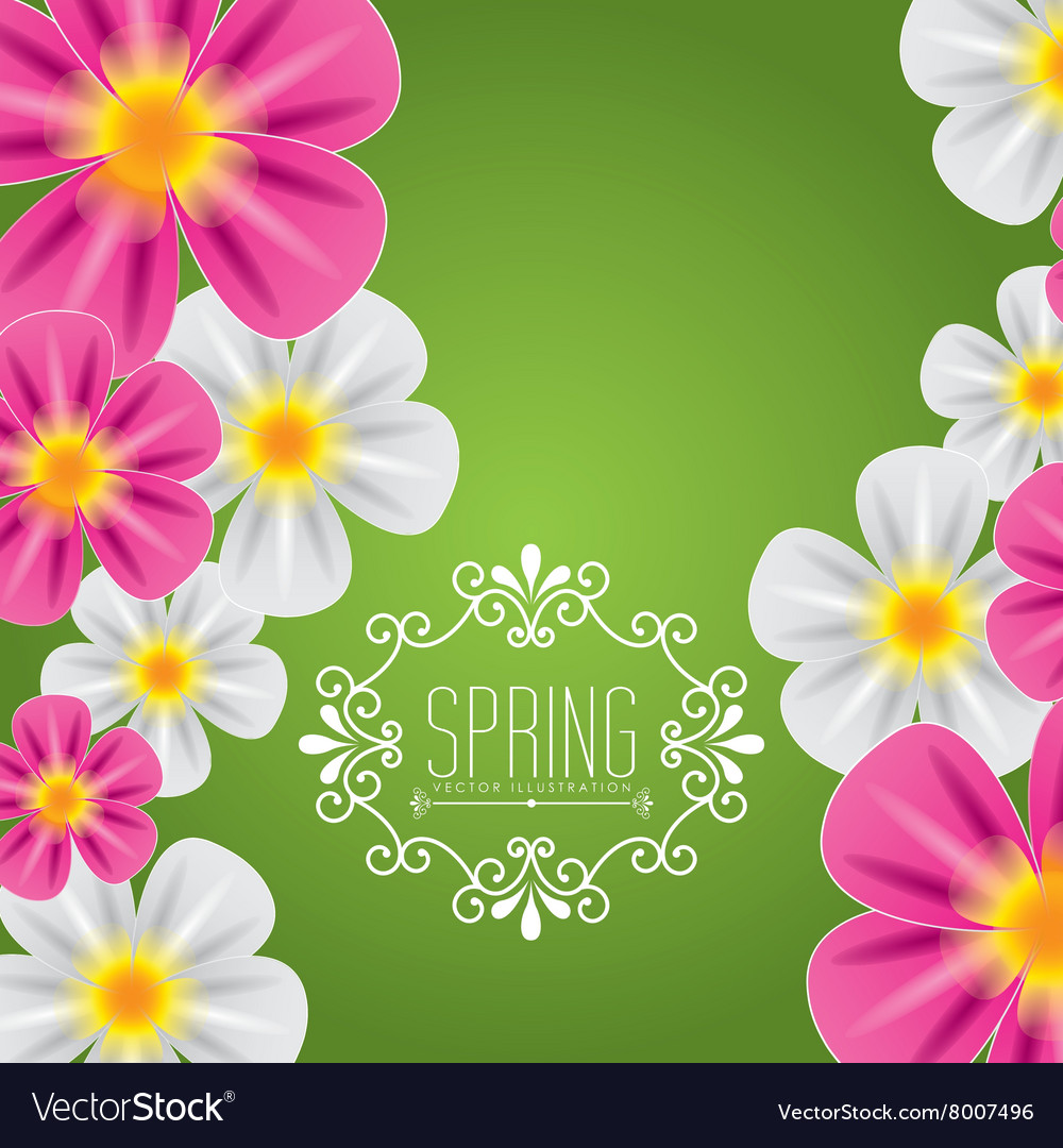 Spring season design Royalty Free Vector Image
