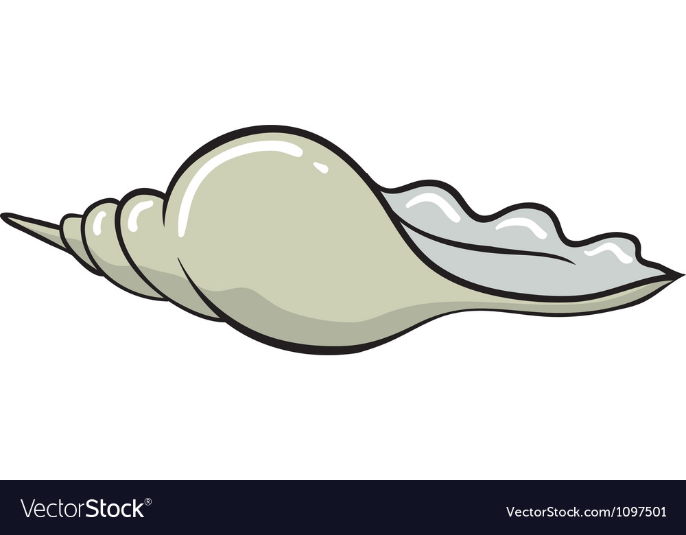 A cockleshell Royalty Free Vector Image - VectorStock