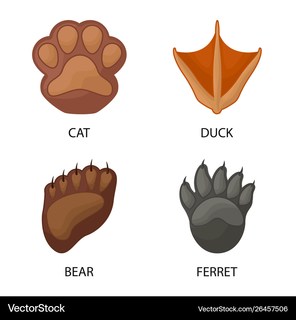 Animal and print symbol Royalty Free Vector Image