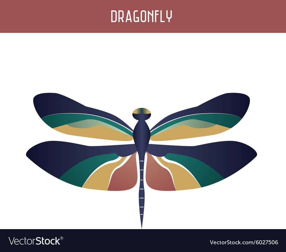 Dragonfly Royalty Free Vector Image - VectorStock