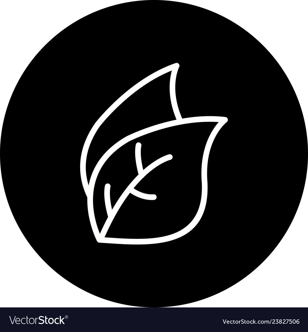 Leaf icon Royalty Free Vector Image - VectorStock