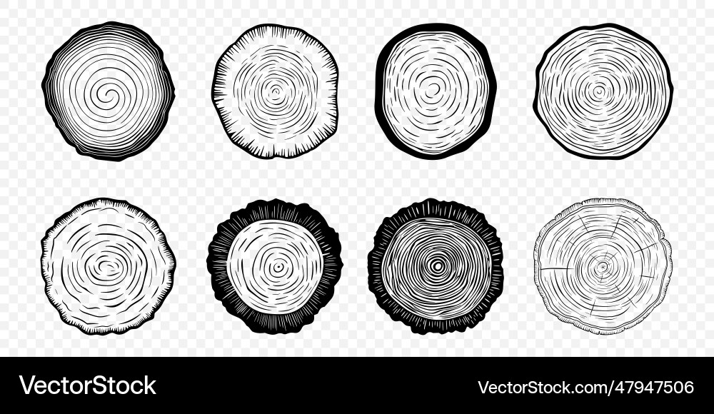 Tree rings saw cut tree trunk wood log Royalty Free Vector