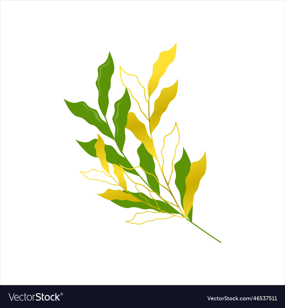 Leaf plant decoration Royalty Free Vector Image