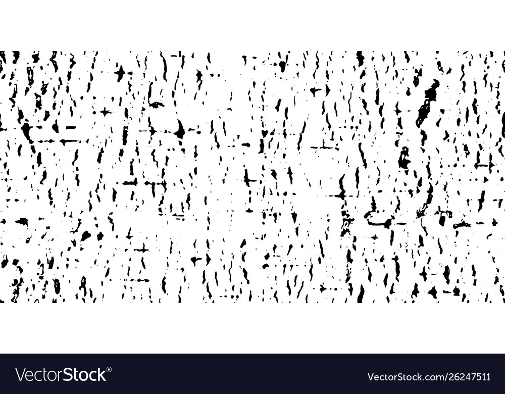 Rustic Birch Bark Texture Royalty Free Vector Image