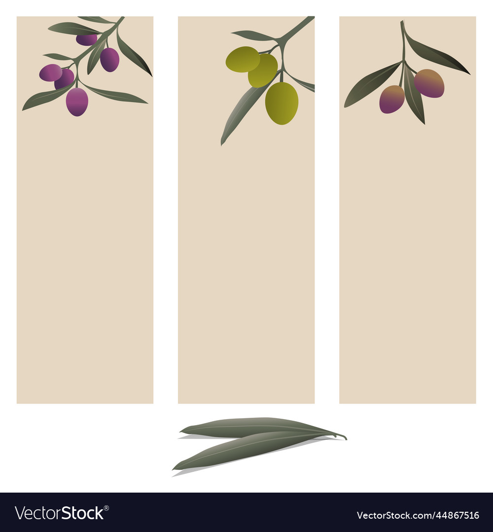 Backgrounds for labels cards posters or packaging Vector Image