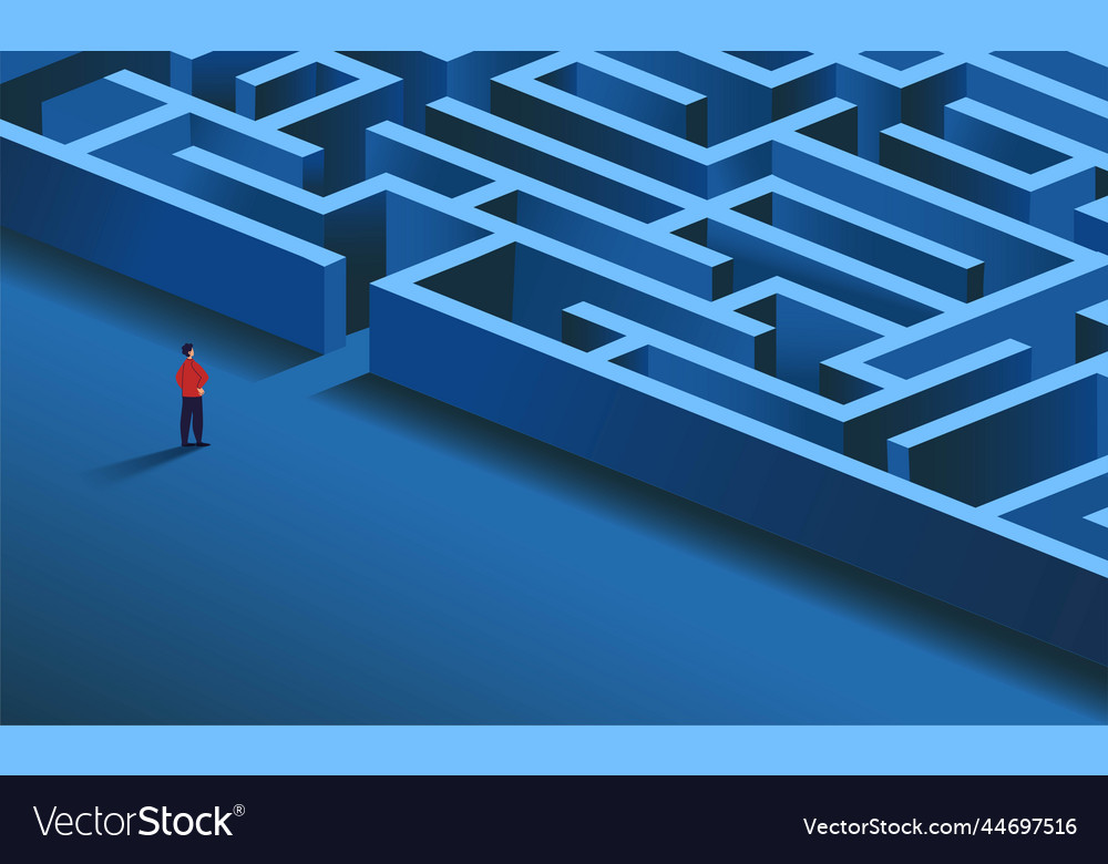 Isometric maze 3d business labyrinth puzzle Vector Image