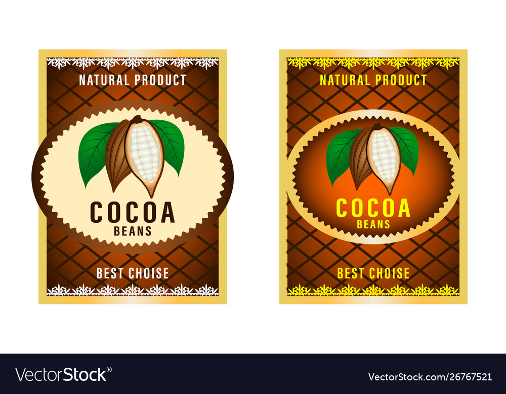 Cocoa beans packaging layout Royalty Free Vector Image