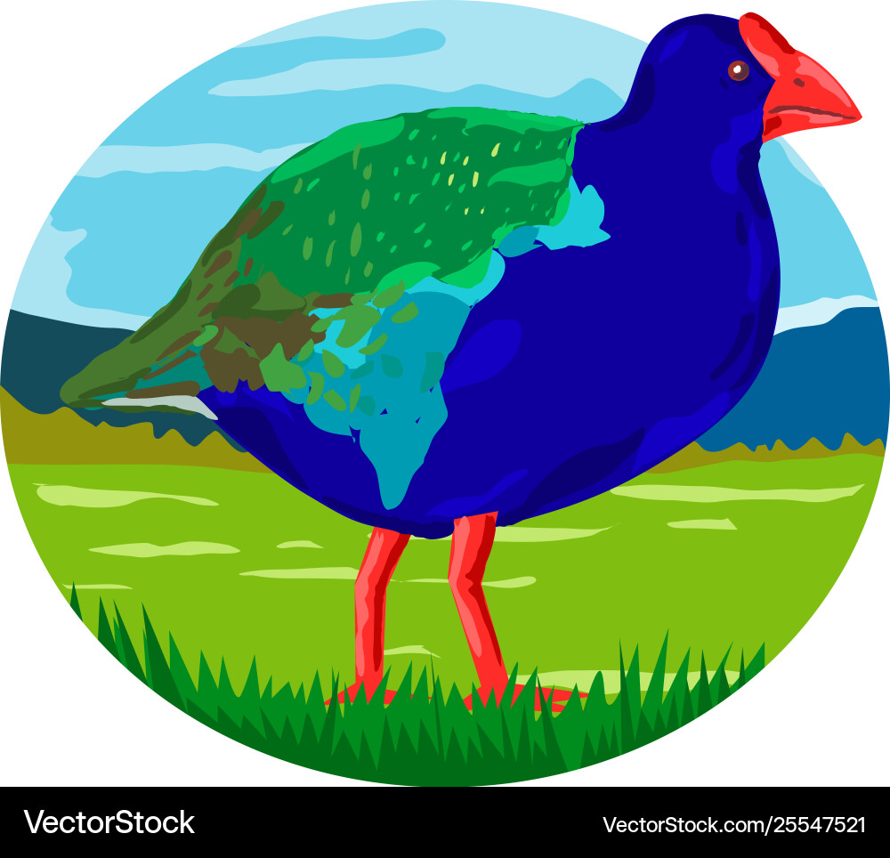 Takahe
