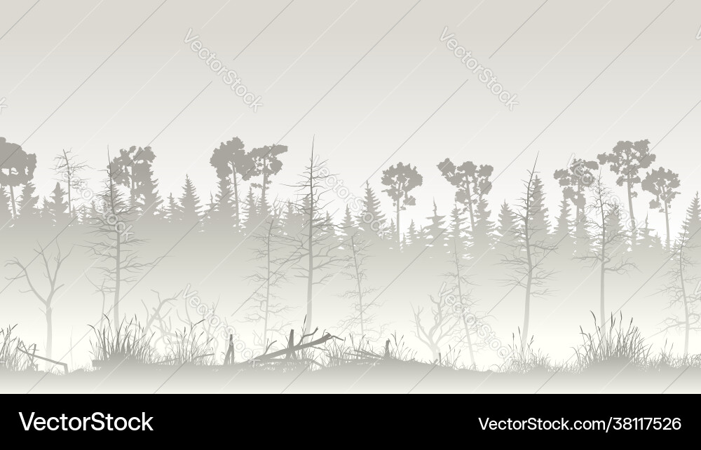 Forest with grass swamp and deadwood Royalty Free Vector
