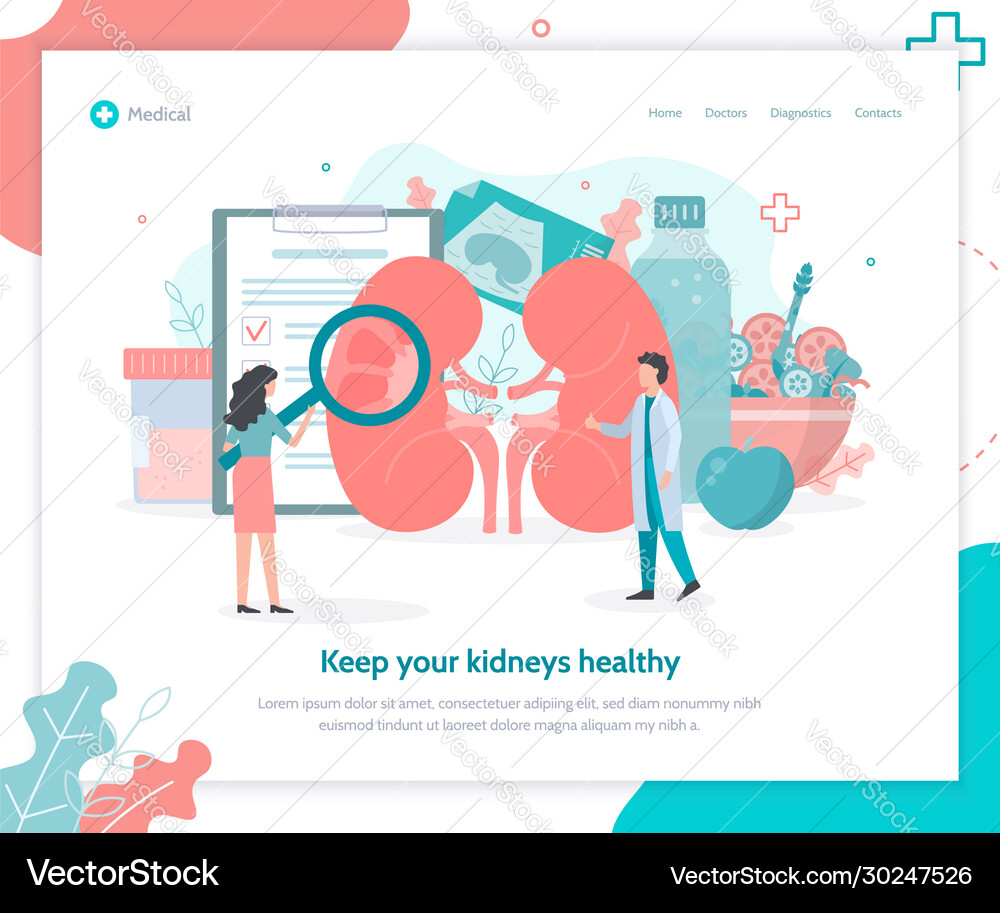 Kidney health landing page Royalty Free Vector Image