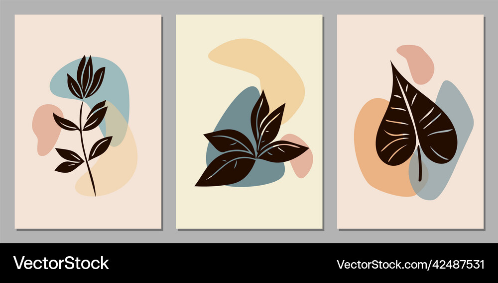 Botanical wall art set abstract plant art Vector Image