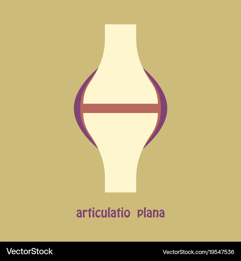 Knee joint health care icon flat Royalty Free Vector Image