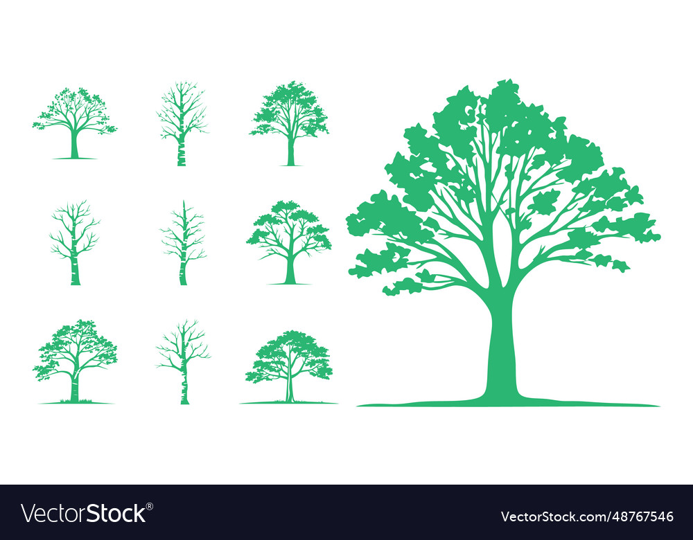 Graceful birch tree branches Royalty Free Vector Image Graceful birch tree branches Royalty Free Vector Image