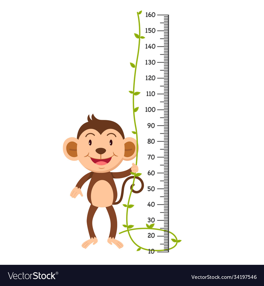 Meter wall with monkey Royalty Free Vector Image