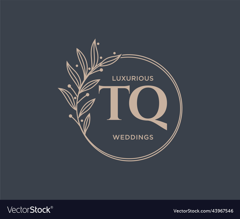 Tq initials letter wedding monogram logos Vector Image
