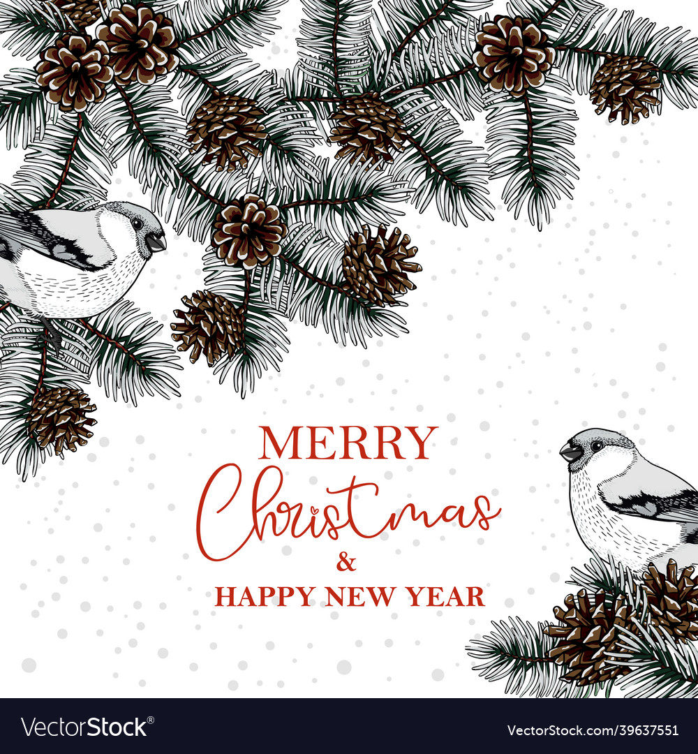 Christmas tree branches with cones and bullfinches