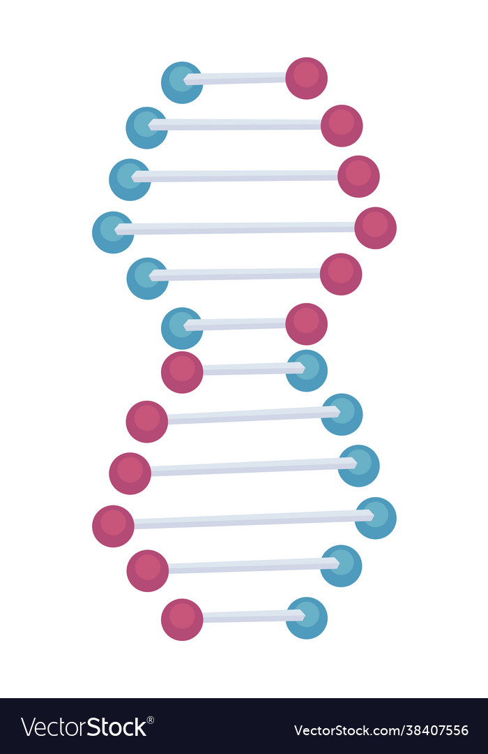 Dna molecule structure Royalty Free Vector Image