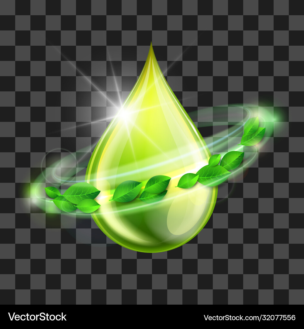 Green glossy drop with green leaves environment Vector Image
