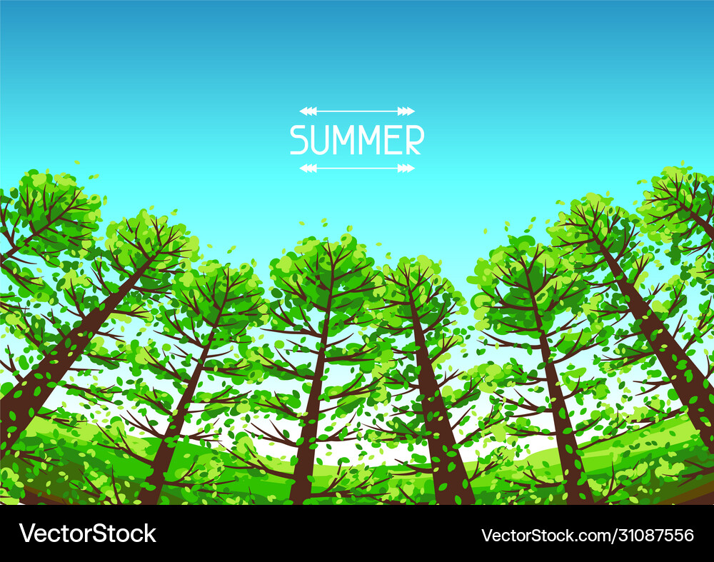 Summer forest background with stylized trees Vector Image