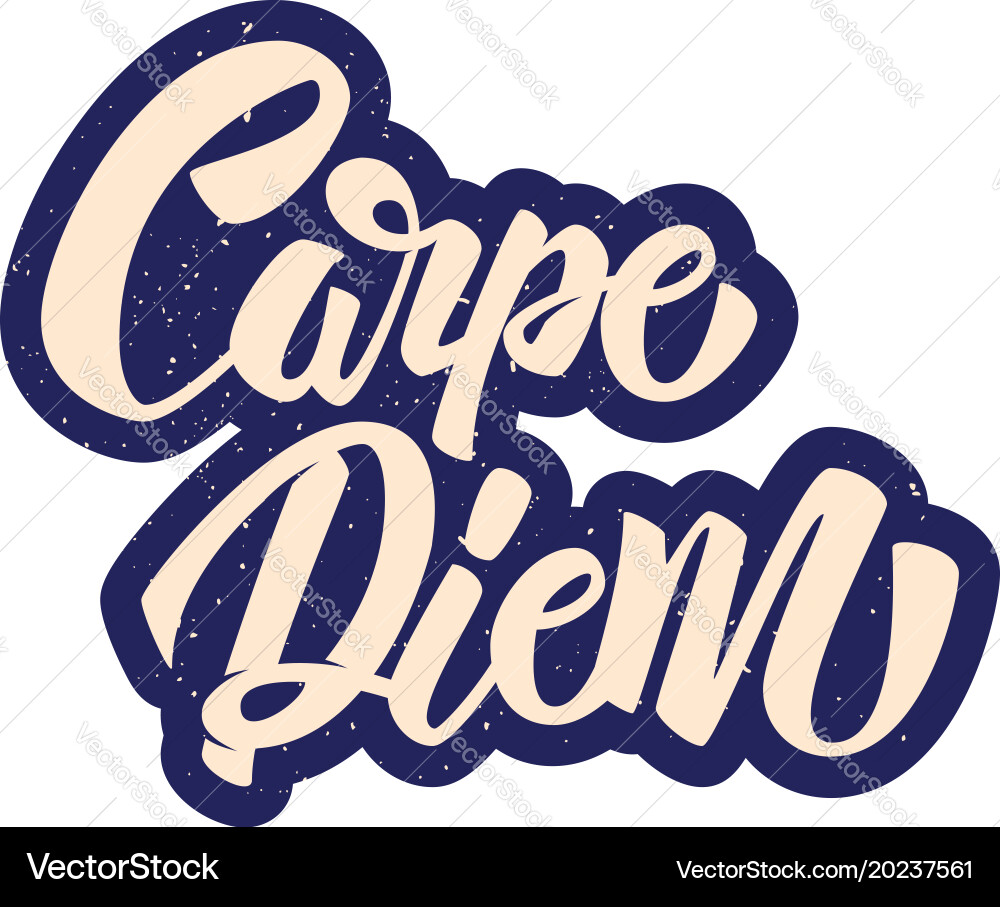 Carpe diem lettering in graffiti style phrase Vector Image