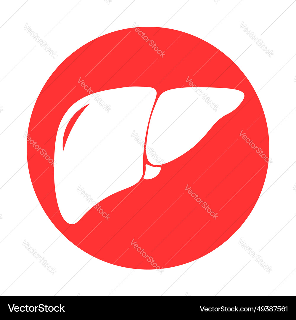 Liver icon in trendy flat style symbol Royalty Free Vector