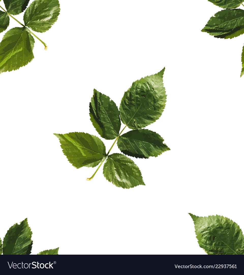 Seamless pattern leaves flat template Royalty Free Vector