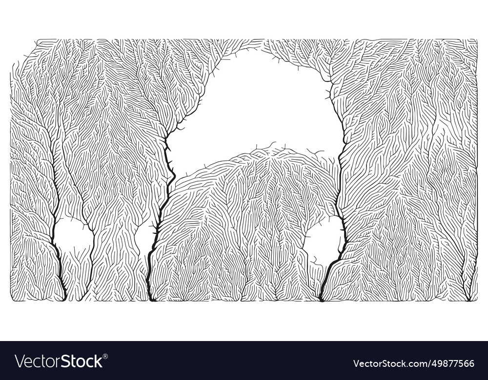 Growth pattern generative branching structure Vector Image