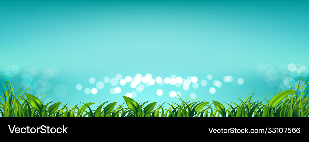 Sky with fresh green grass and light bokeh Vector Image