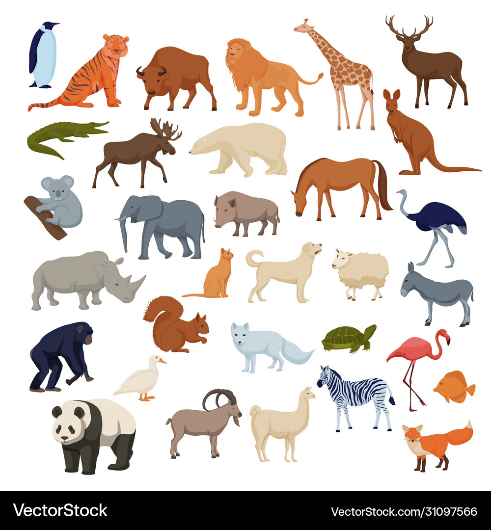 Wild home pets set wild animals bison elephant Vector Image