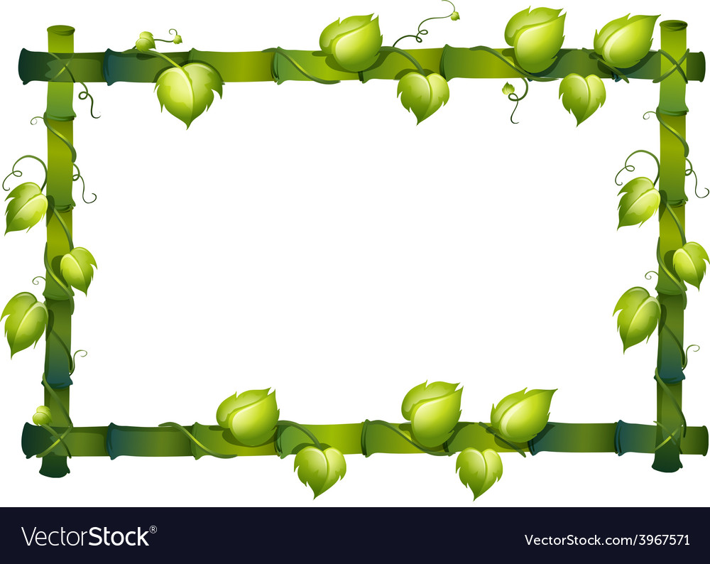Bamboo frame Royalty Free Vector Image - VectorStock