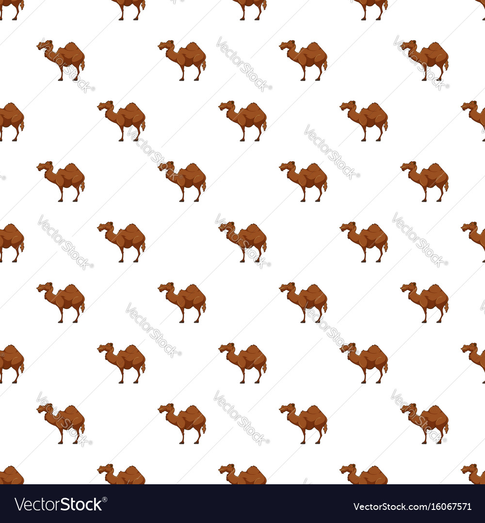 Camel pattern seamless Royalty Free Vector Image