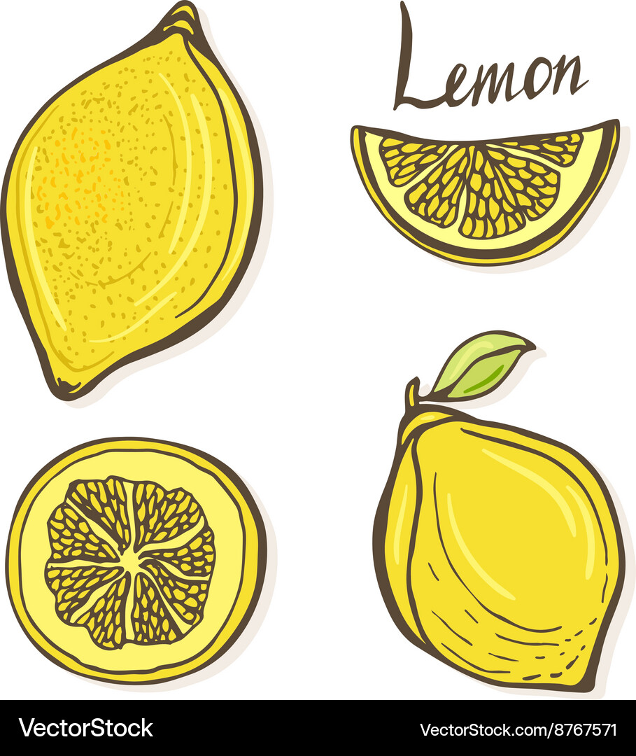 Set of hand drawn sketch lemons isolated Vector Image