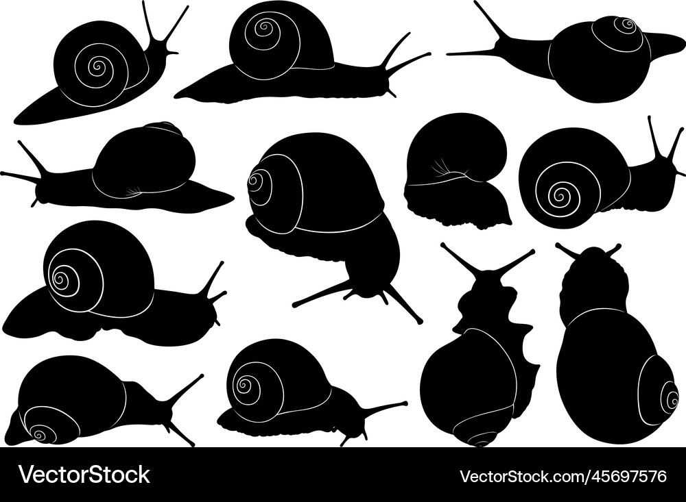 Collage of different snail silhouettes Royalty Free Vector