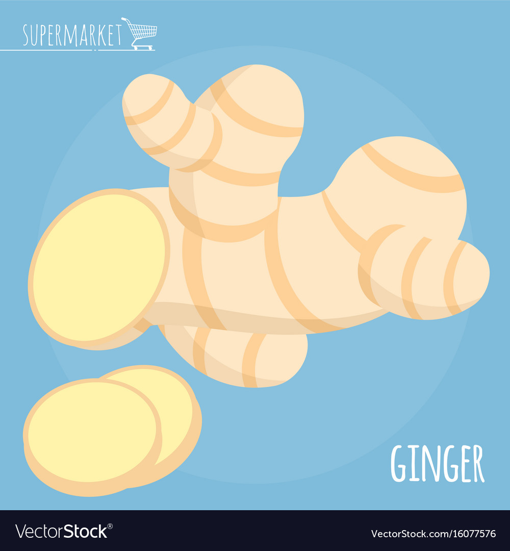 Ginger flat design icon Royalty Free Vector Image
