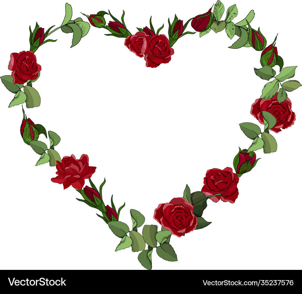 Heart frame red roses flowers isolated on a Vector Image