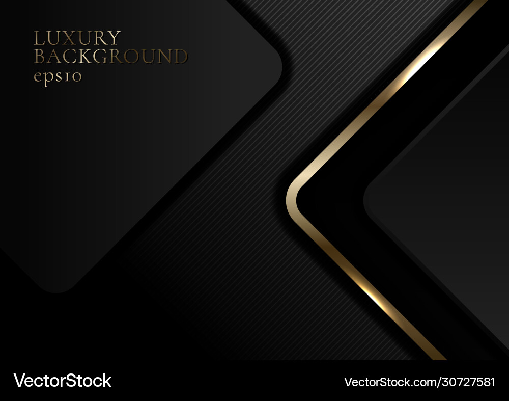 Abstract elegant gold and black shiny square Vector Image
