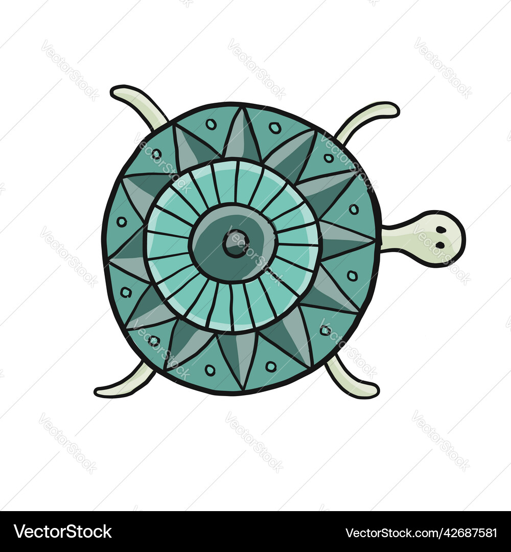 Cute turtle design tortoise art print isolated Vector Image