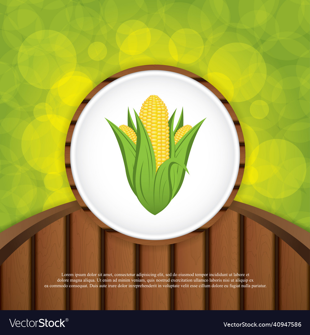 Corn Royalty Free Vector Image - VectorStock