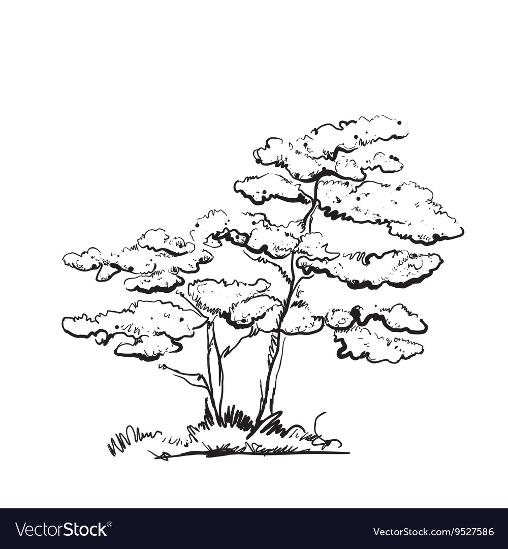 Hand drawn tree Royalty Free Vector Image - VectorStock