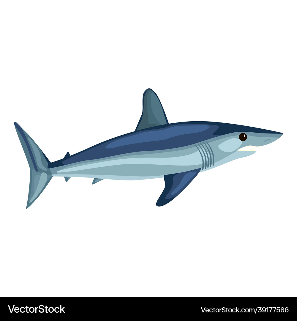 Mako shark isolated on white background cartoon Vector Image