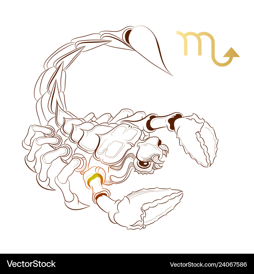 Zodiac sign scorpio isolated on white background Vector Image