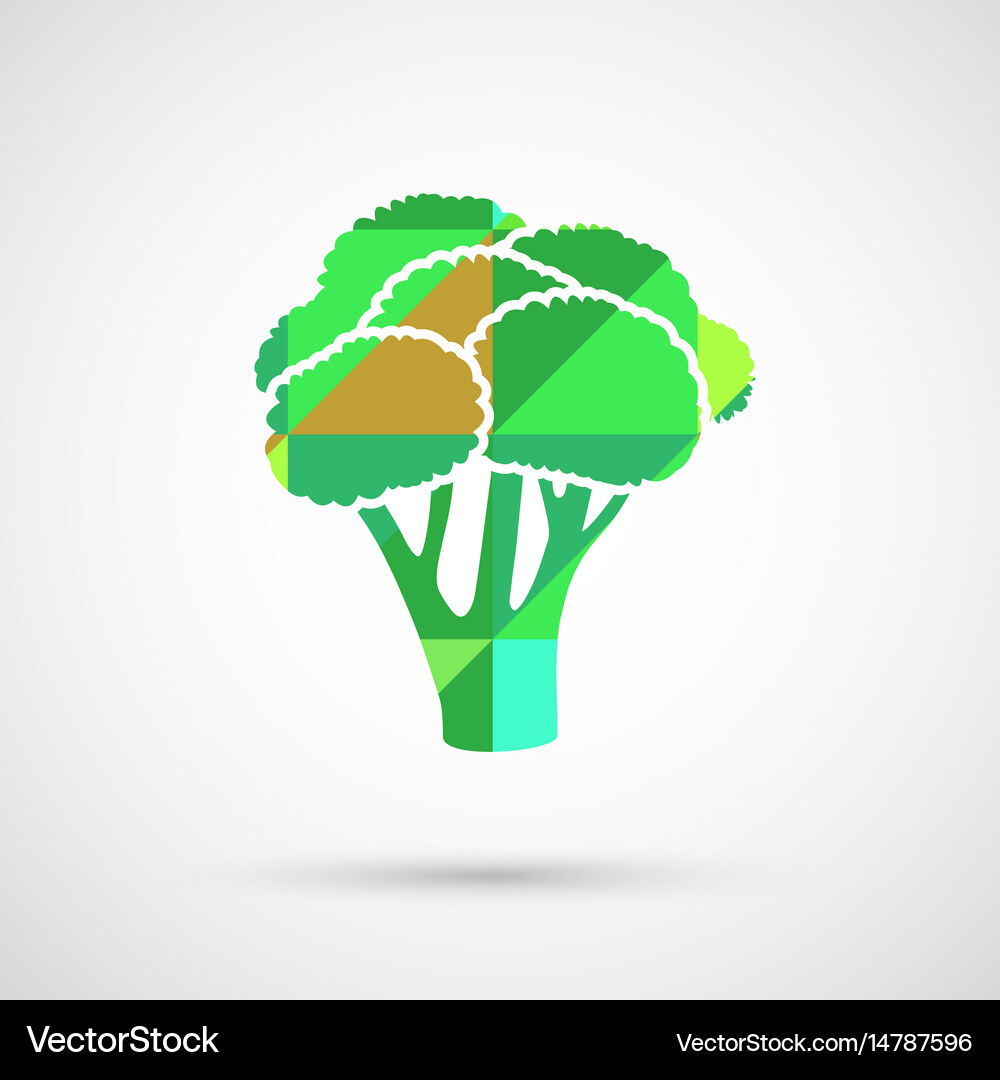 Fresh green piece of broccoli Royalty Free Vector Image