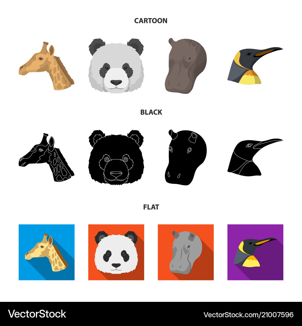 Panda giraffe hippopotamus penguin realistic Vector Image