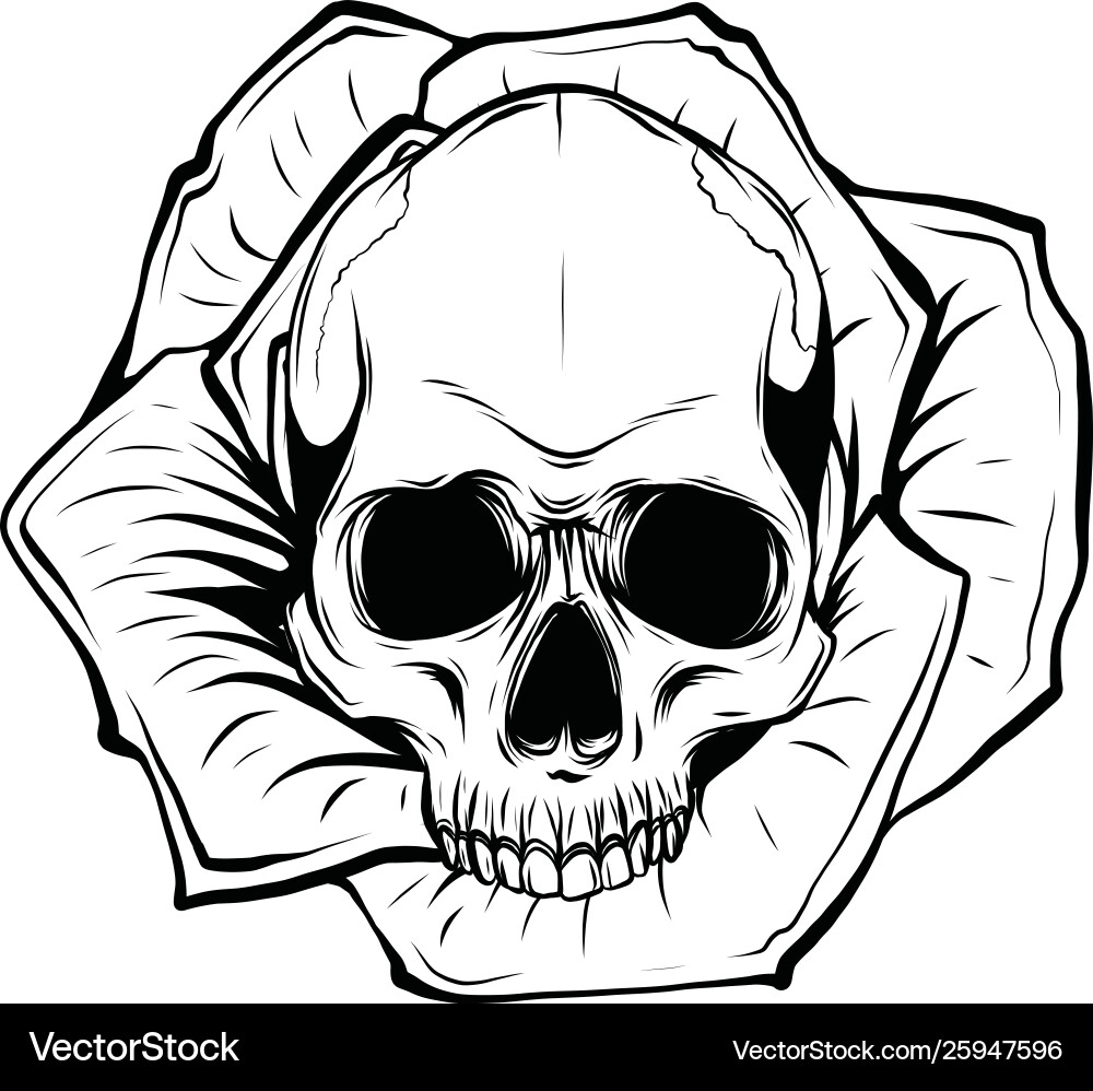 Cool Drawings Of Roses And Skulls
