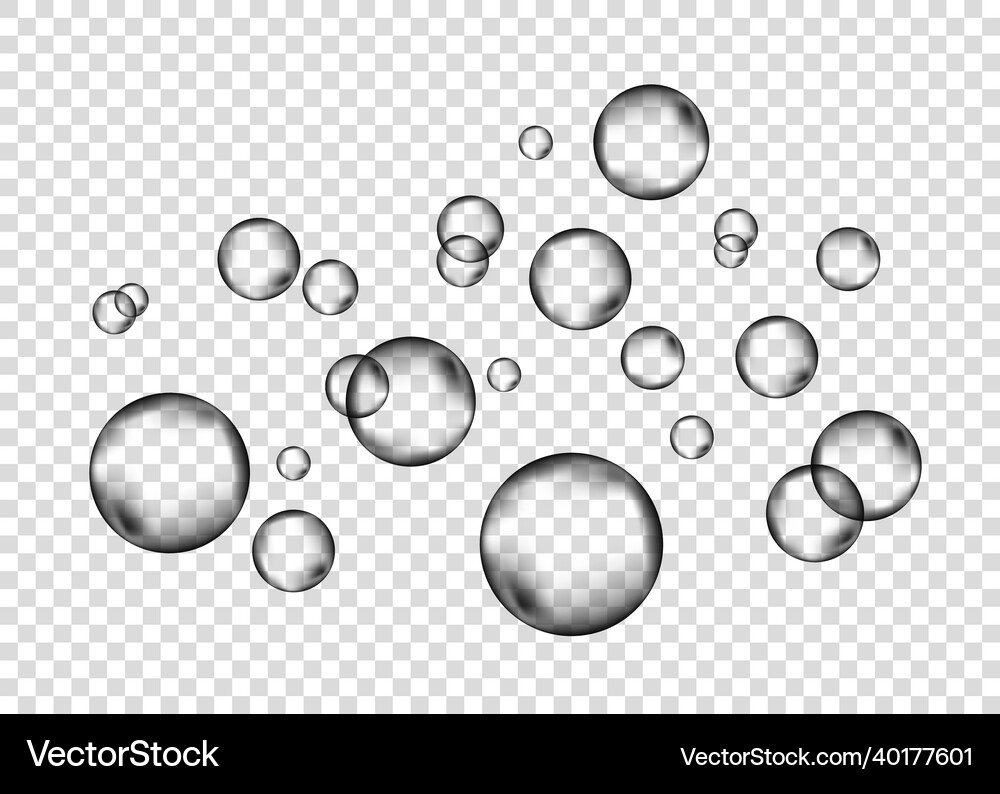 Underwater fizzing air bubbles on transparent Vector Image