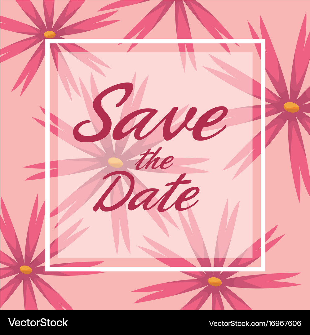 Colorful card background with decorative pink Vector Image